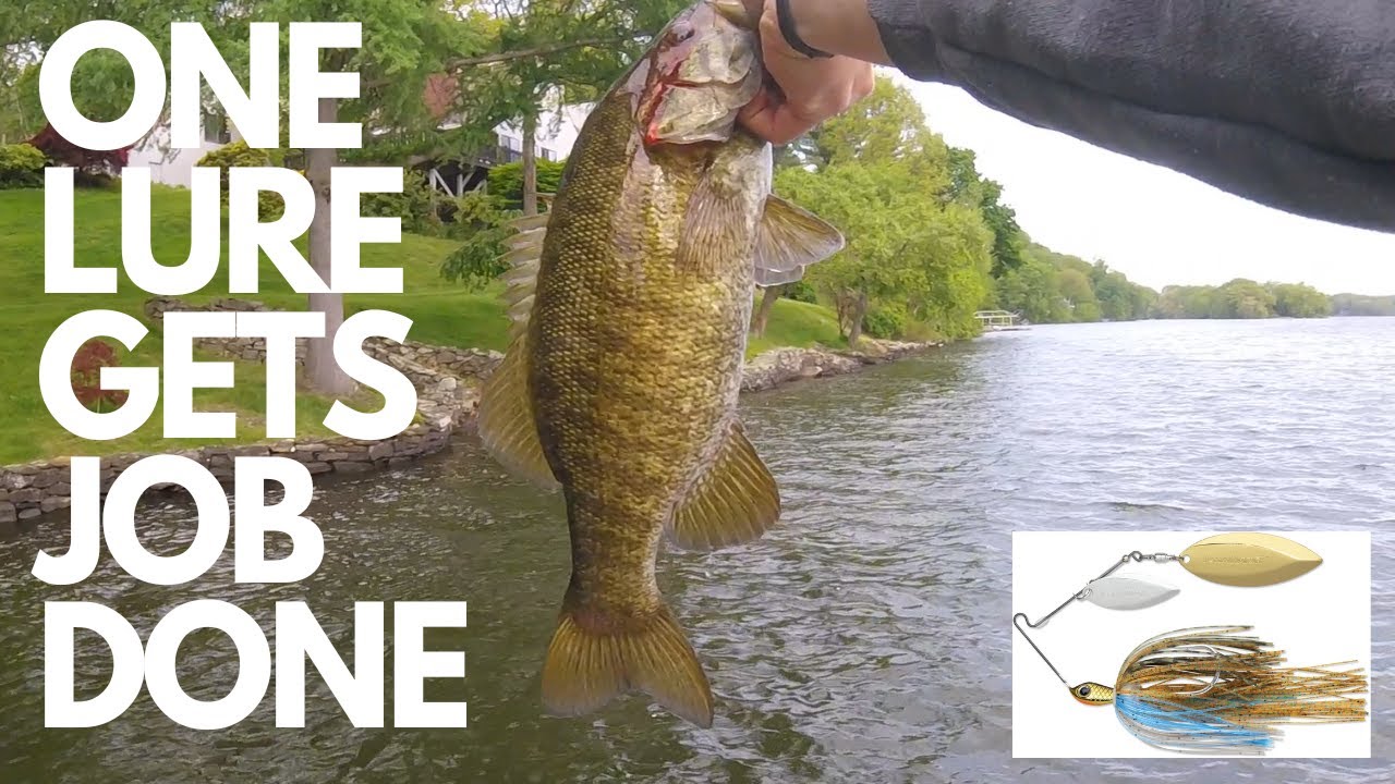 ONE LURE GETS THE JOB DONE- Late Spring Bass Fishing - YouTube