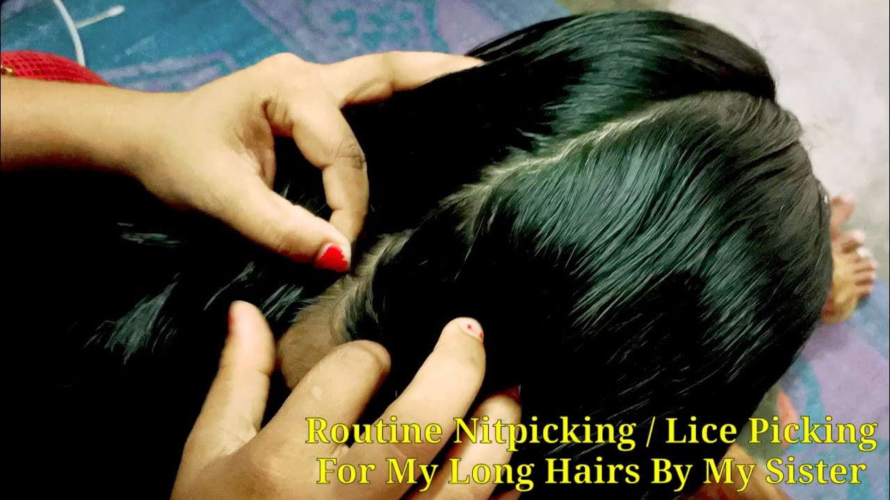 Routine Nitpicking / Lice Picking For My Long Oiled Hairs By My Sister ...