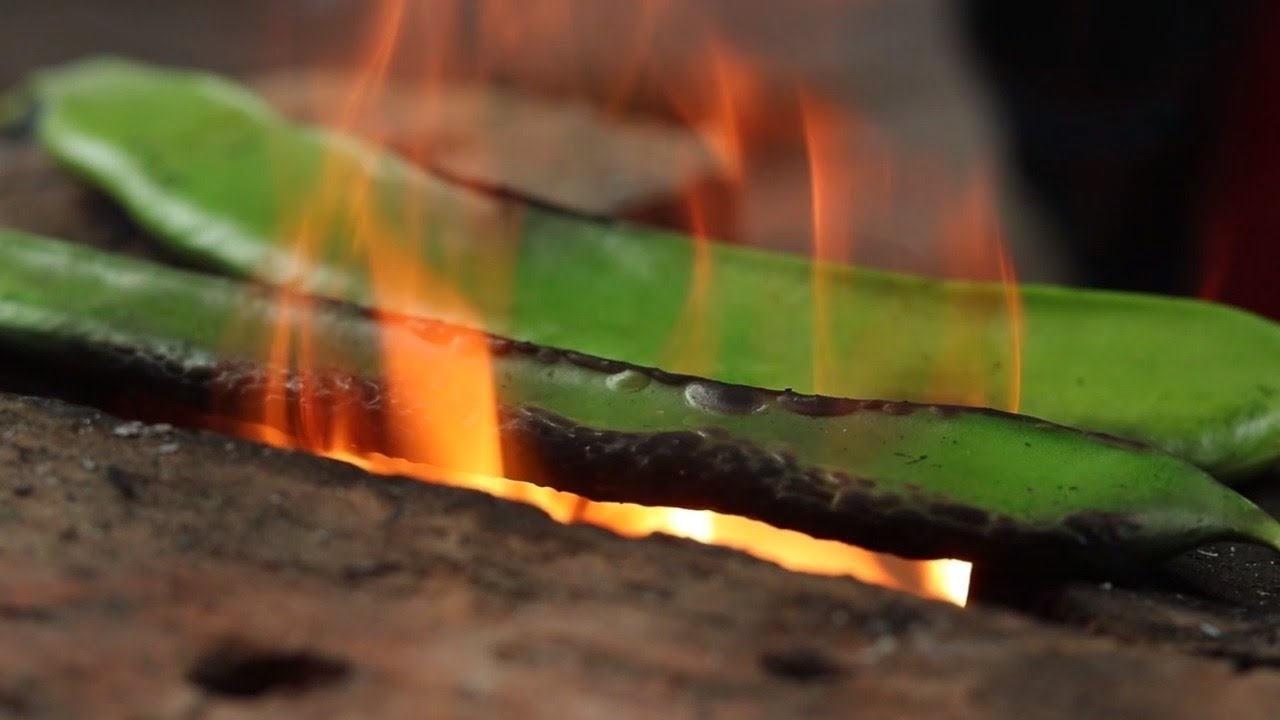 মরিচ ভর্তা দিয়ে মৌ শিম - Spicy Sword Bean Recipe - Chakma Food - YouTube