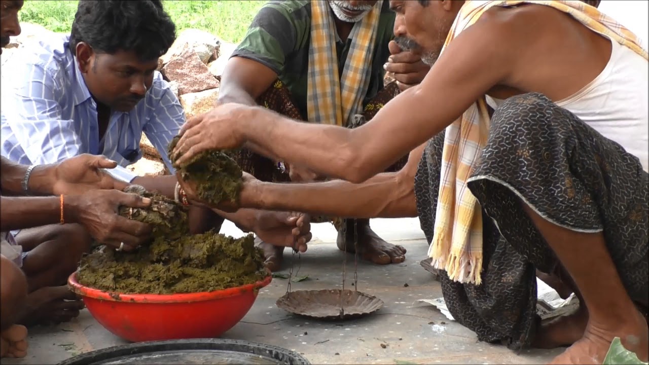 Natural Farming Method of Controlling Termite - YouTube