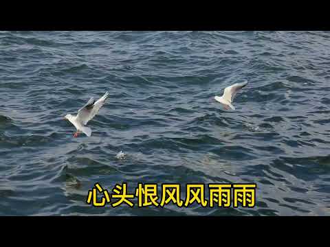 顆顆眼淚都是爱/Khe khe yen Lei dou se ai /EDDY LAU//PONTIANAK -KAL-BAR/INDONESIA 🇮🇩