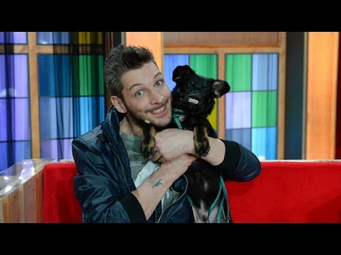 Przygarnij mnie – Wysoka poprzeczka