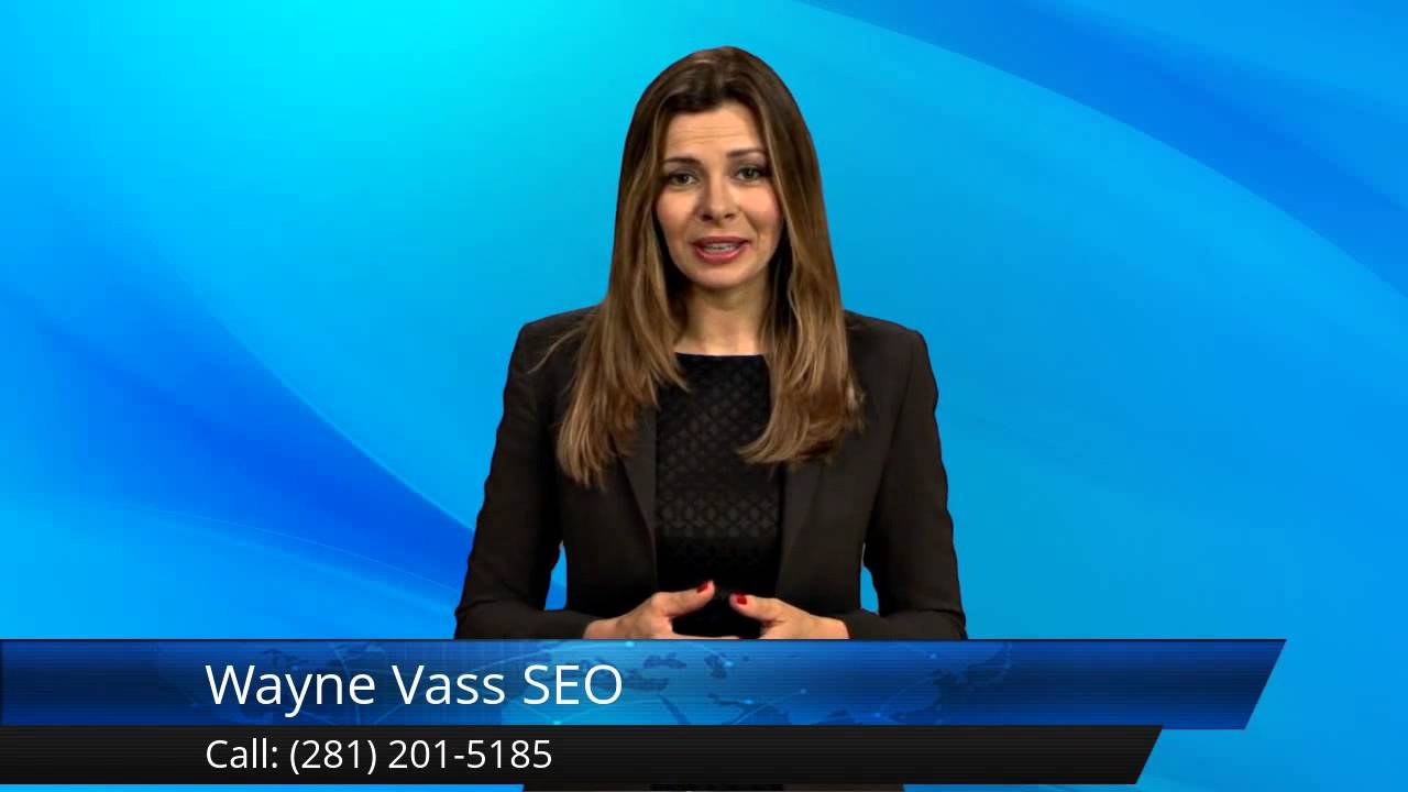Wayne Vass SEO Houston Superb 5 Star Review by TC L - YouTube