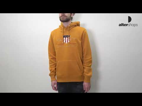 ARCHIVE SHIELD HOODIE 2047056