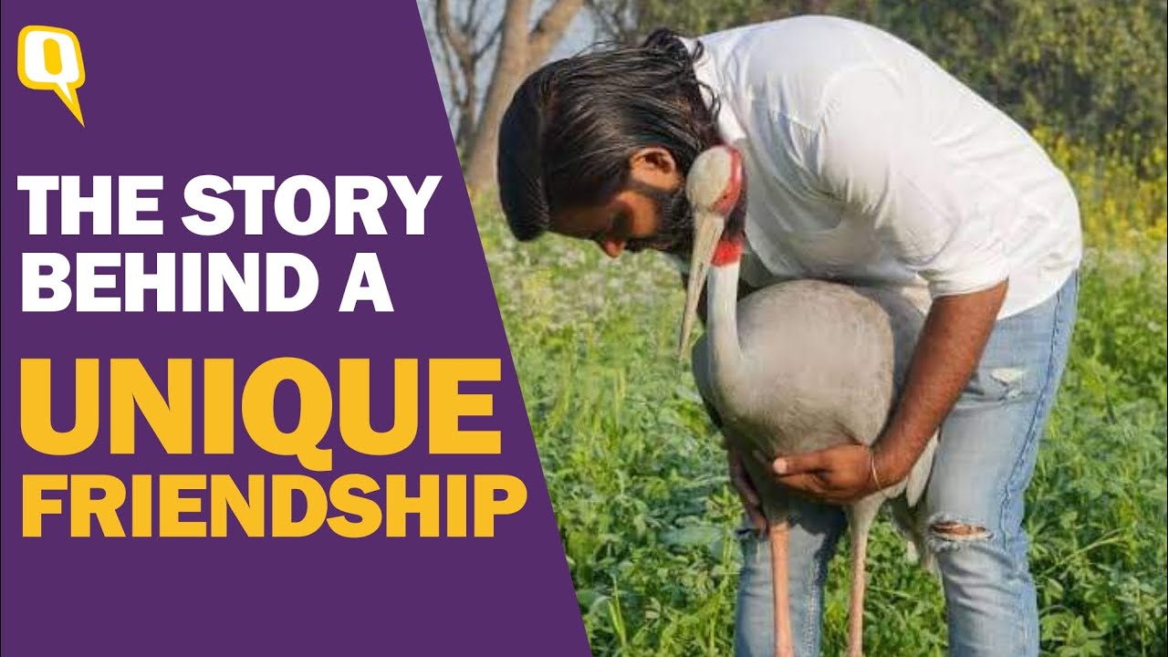 Story of a Man and His Unique Friend, And the Heartbreaking Tale of ...
