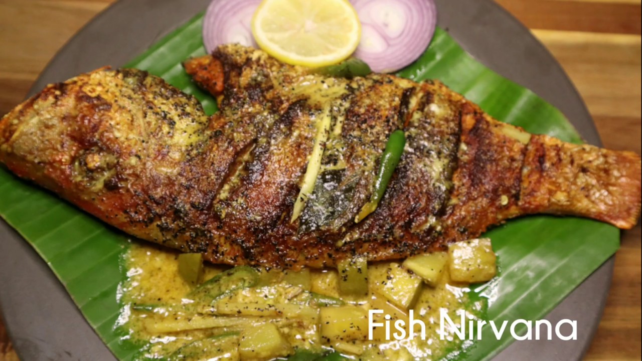 Fish Nirvana - YouTube