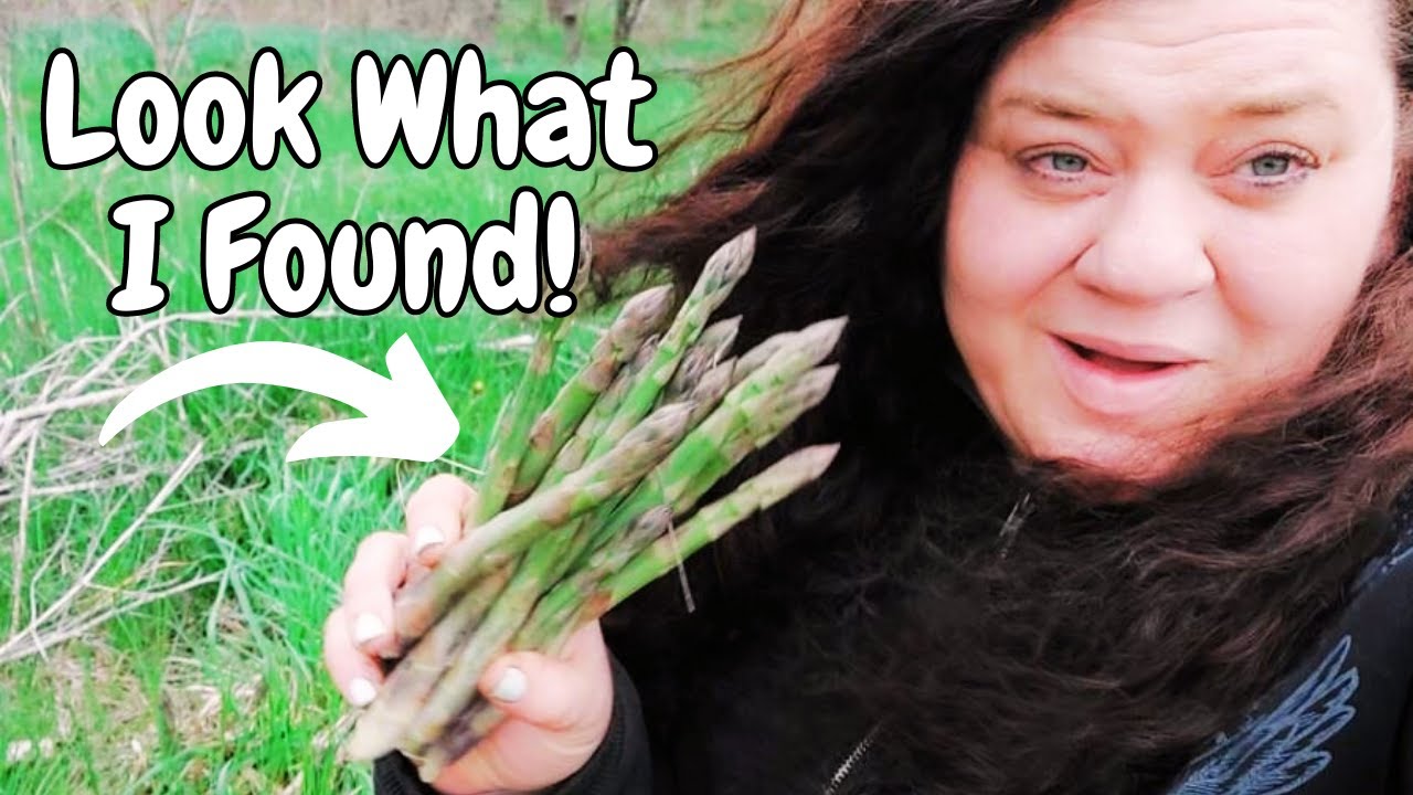 Hunting For Asparagus! - YouTube