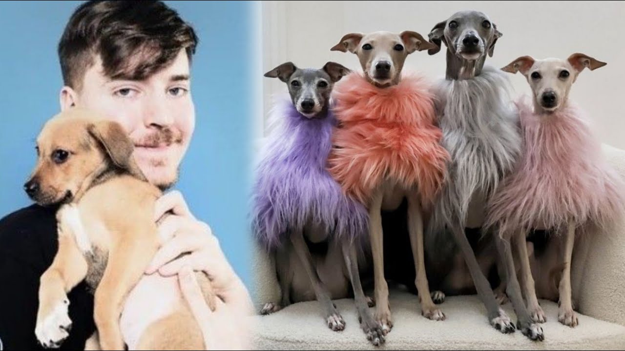 Cutest baby animals Videos Compilation Cute moment of the Animals -Pet ...
