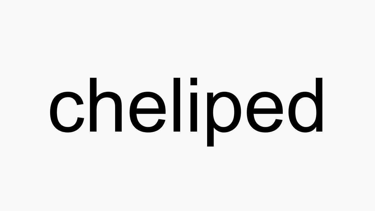 How to pronounce cheliped - YouTube