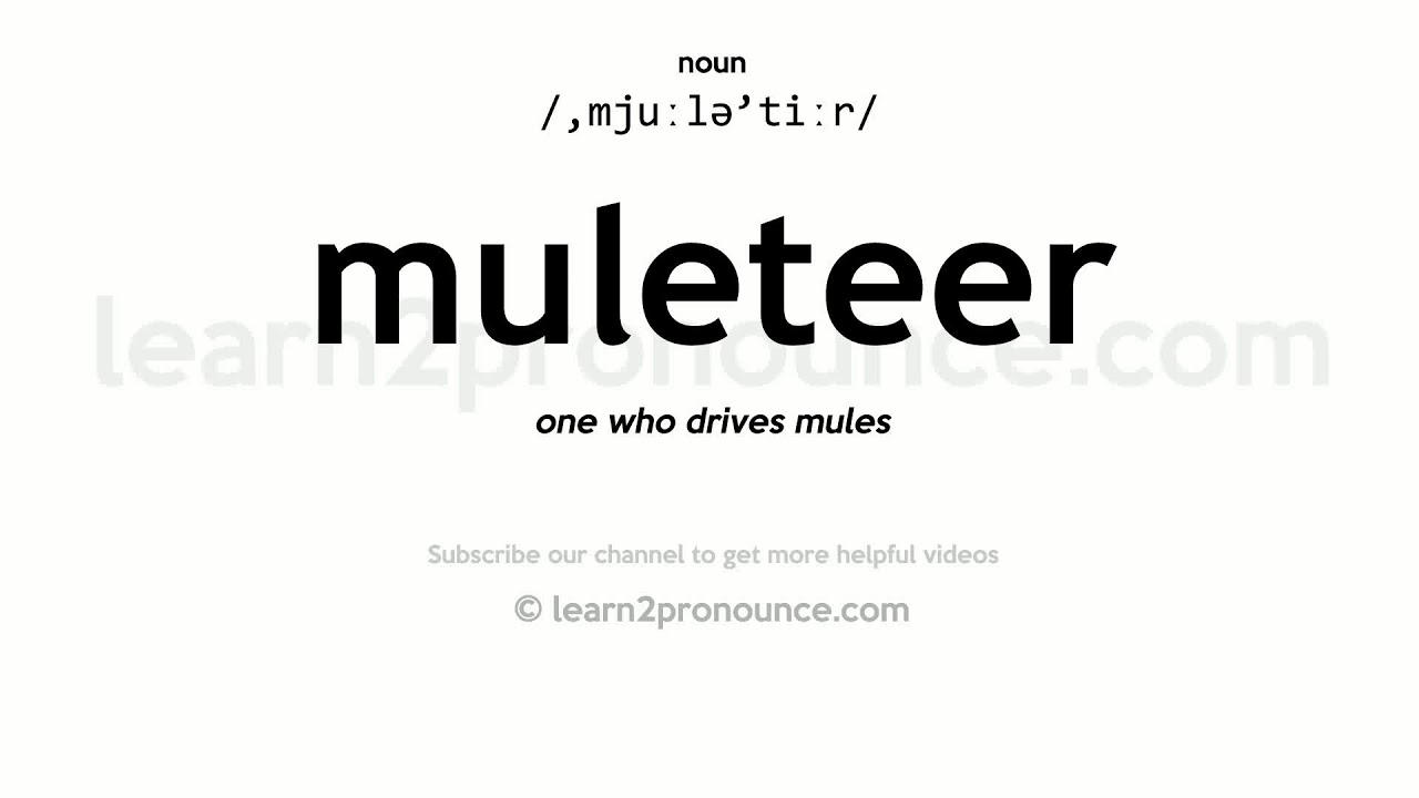 Pronunciation of Muleteer | Definition of Muleteer - YouTube
