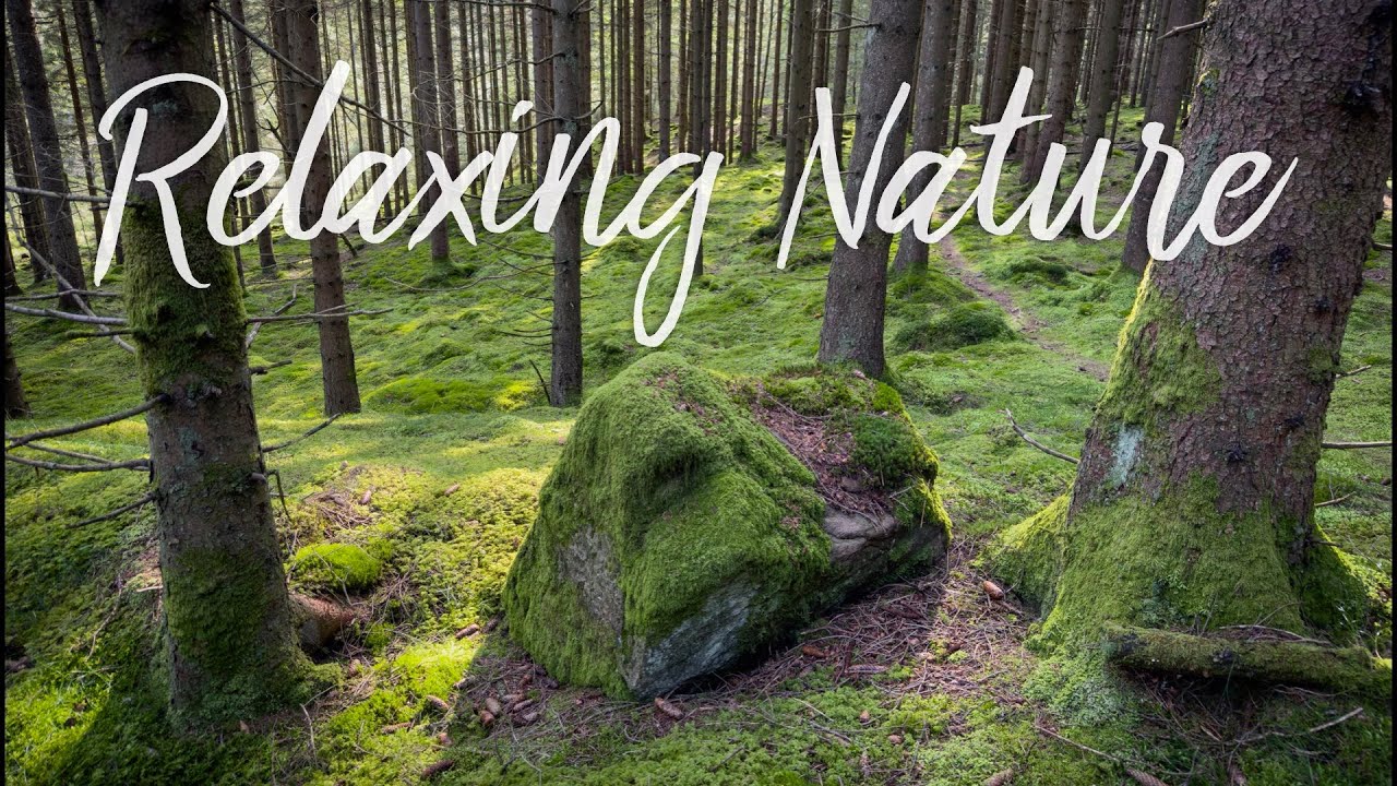 Relaxing Nature Sceneries - This will make you RELAXED! - YouTube
