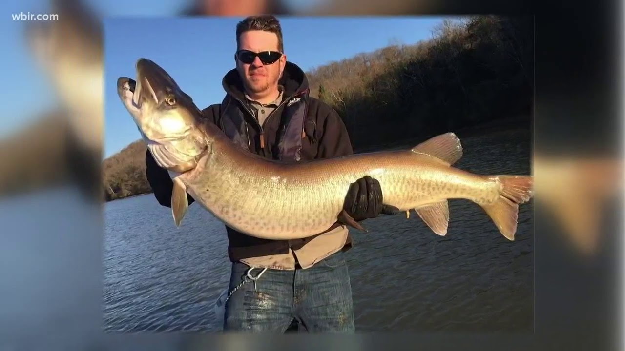 Does teen's 52-inch fish break a state record? - YouTube