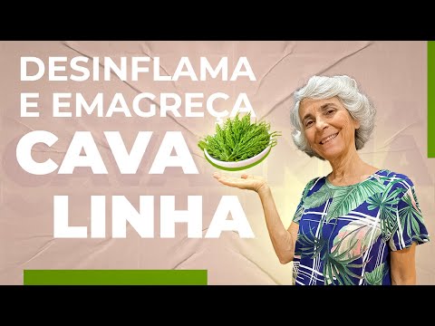 Desinflame e emagreça RÁPIDO! Conheça essa erva chamada CAVALINHA!