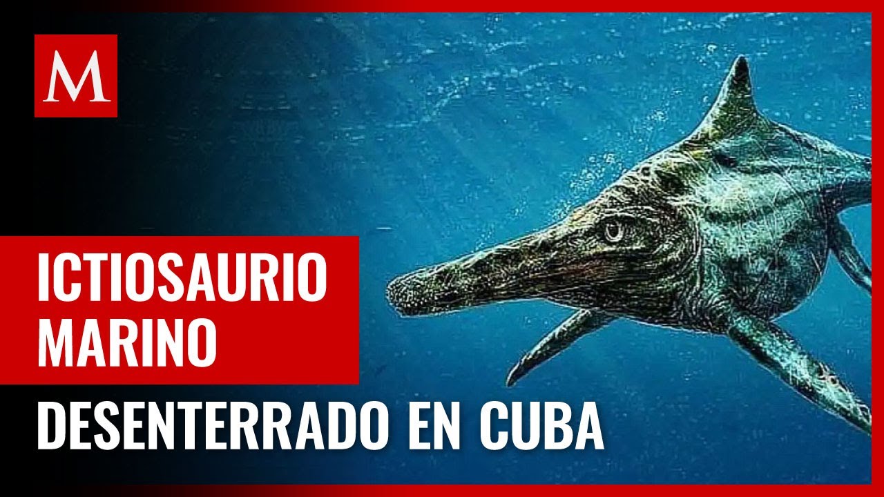 ¡Impactante descubrimiento! Fósil de Saurio marino de 145 millones de ...