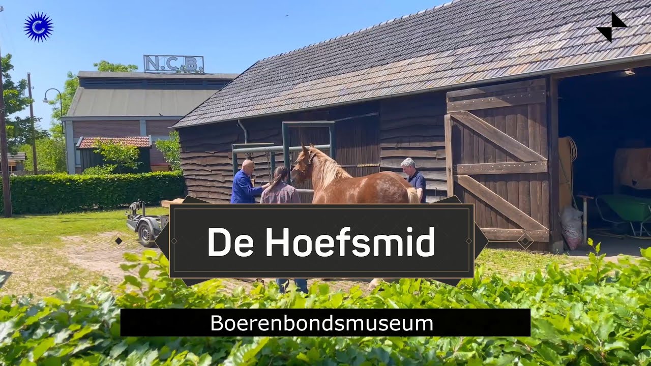 2023 05 28 De Hoefsmid bij het Boerenbondsmuseum Gemert - YouTube