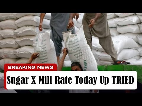 Today Sugar Ex Mill Price 04 September  2023 | Aaj Cheeni Mill Rate | Detailed Video Sugar Ex Mill