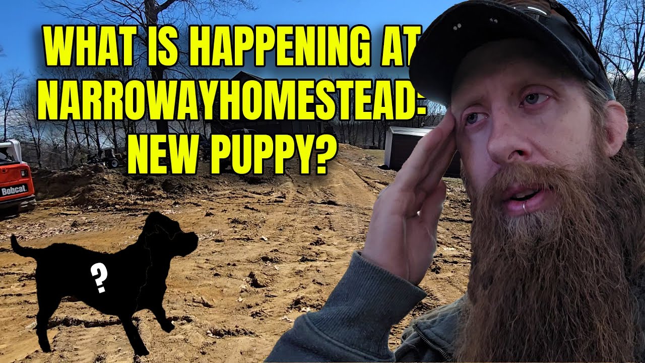 Current projects and what's to come at NarroWay Homestead!! - YouTube