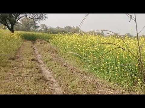 4K] Breastfeeding with family sn | Tips & Breast Pump Tutorial | Pump ...