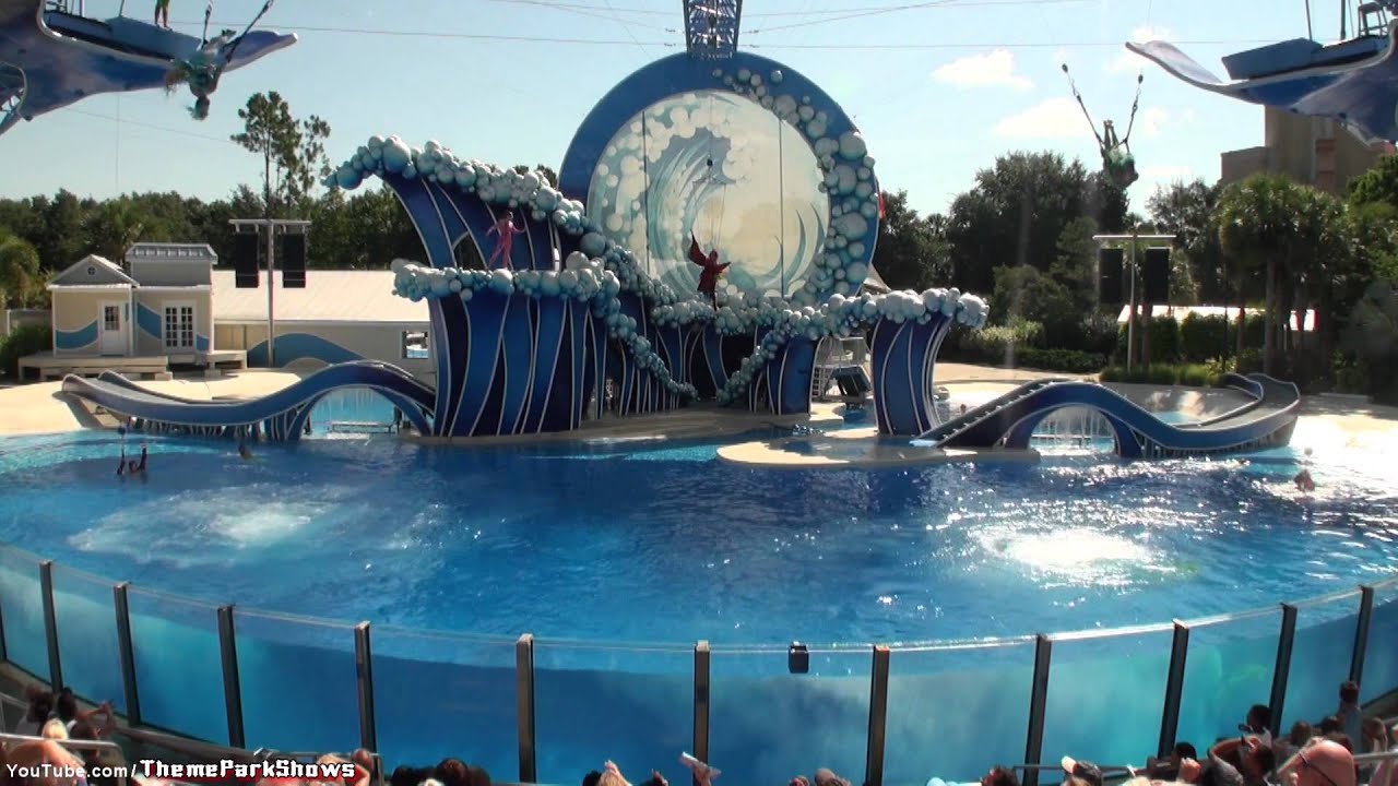 Blue Horizons Dolphin Show at SeaWorld Orlando - YouTube
