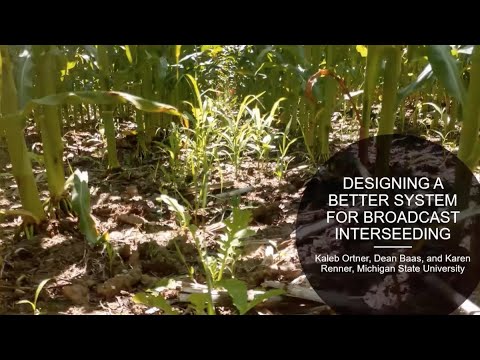 Designing A Better System for Broadcast Interseeding - YouTube