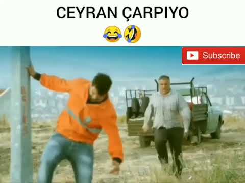 CEYRAN ÇARPIYO 🤣😂, Komik Video, Komik Videolar, Komik videolar, komik videolar😂 tik tok,