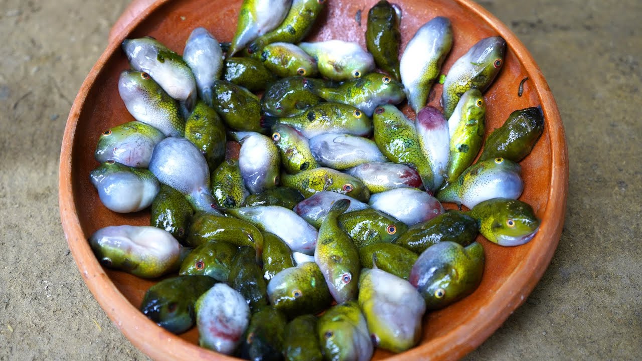 TEPA fish curry cooking by Village Grandmother | Unseen & Rare Fish ...