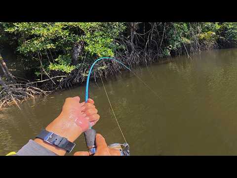 Mancing Di Sarangnya Kakap Putih Haup Haup