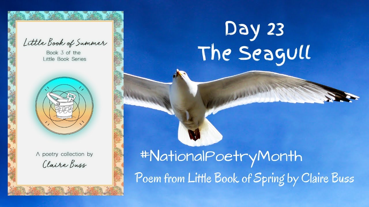 Poem a Day, Day 23 - The Seagull - YouTube