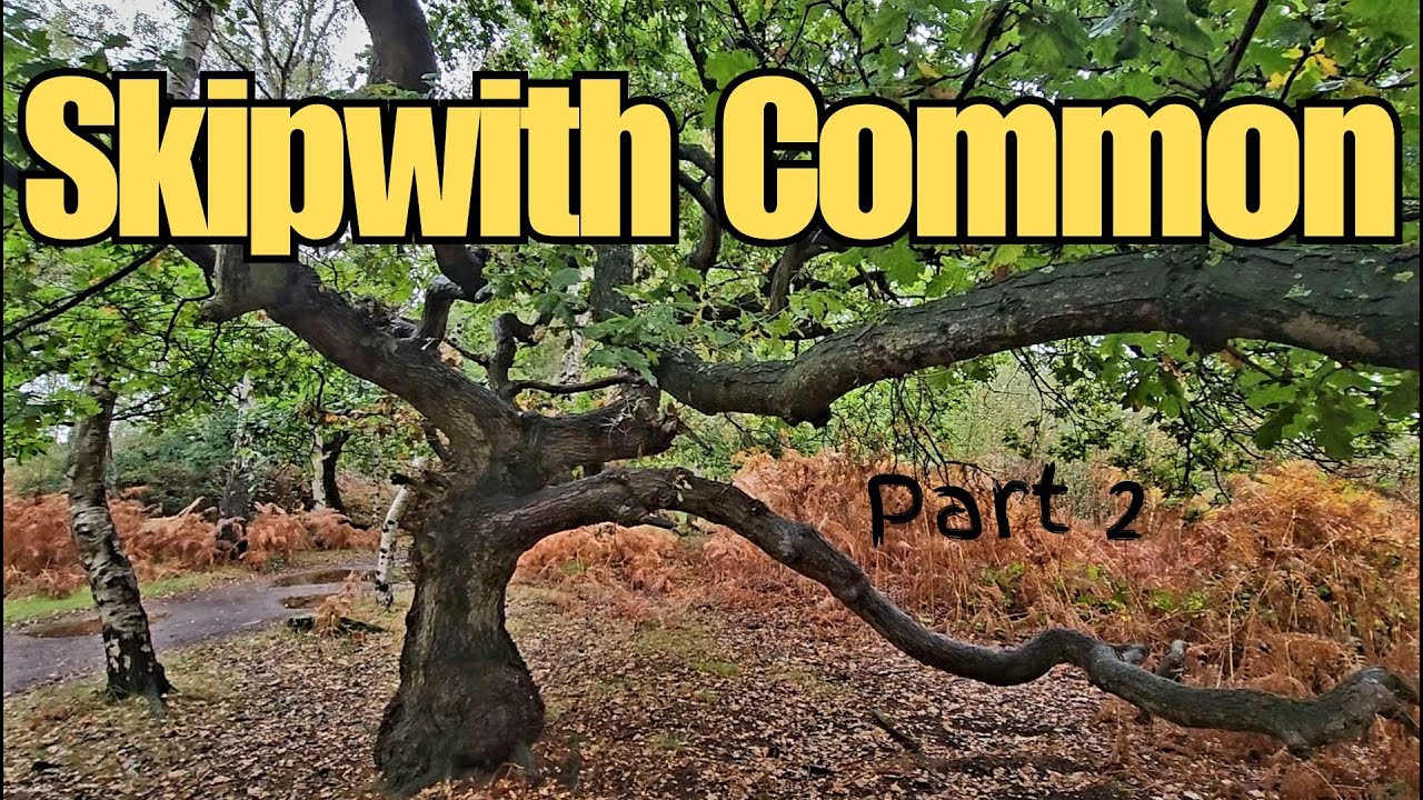 Skipwith Common National Nature Reserve: A Hidden Gem in Yorkshire ...