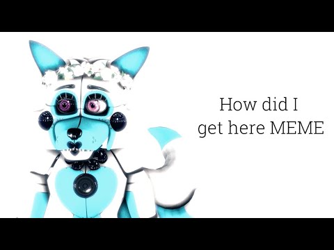[SFM|OC] how did i get here [MEME] - YouTube