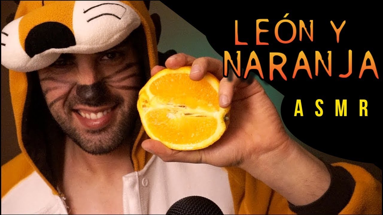 ASMR || LEÓN LAMIENDO NARANJA || LION LICKING ORANGE - YouTube