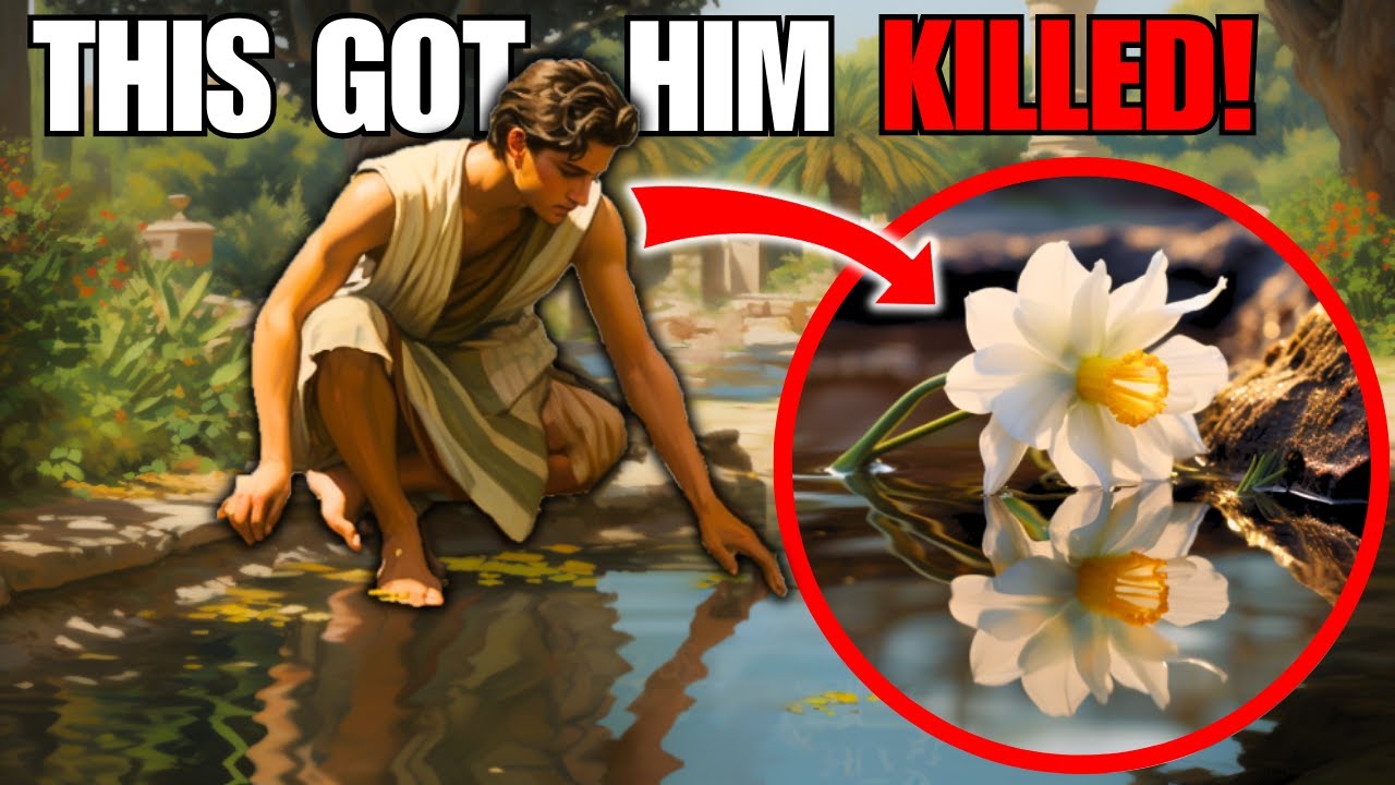 How the Narcissus Flower WAS BORN - An Ancient Greek Story - Narcissus ...