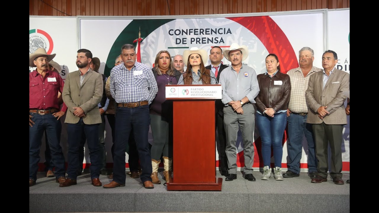 EN VIVO / Conferencia de prensa de la Dip. María del Refugio Camarena ...