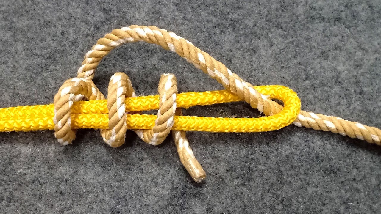Snake Wraps Knot (in my language and in your language ?) | KNOTS 101 ...