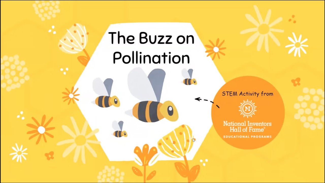 Innovation Mindset Case Study: The Buzz on Pollination - YouTube