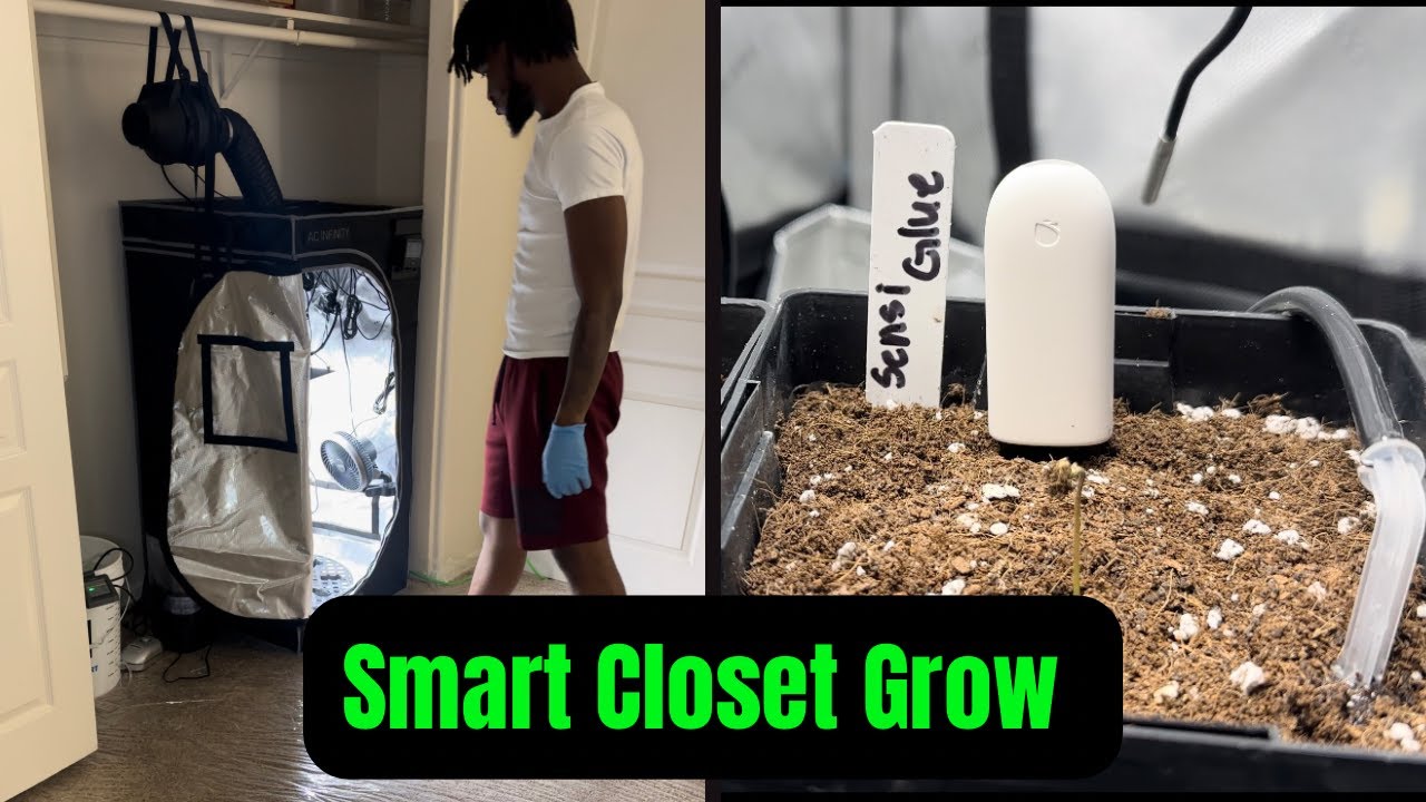 Building A Smart Closet Grow You Can Control From Anywhere - YouTube