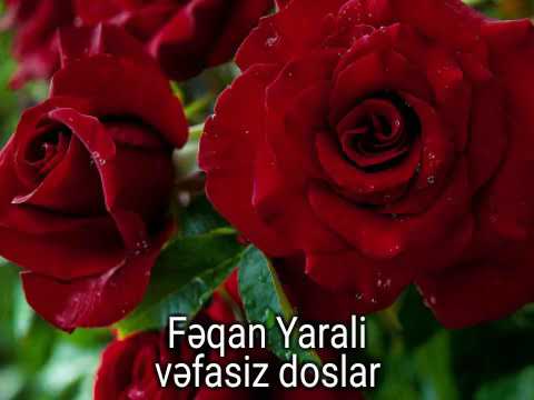 Feqan Yarali vefasiz doslar