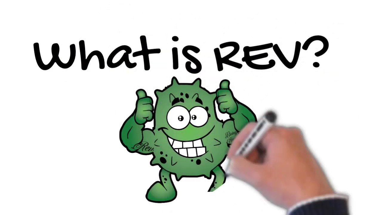 What is REV - YouTube