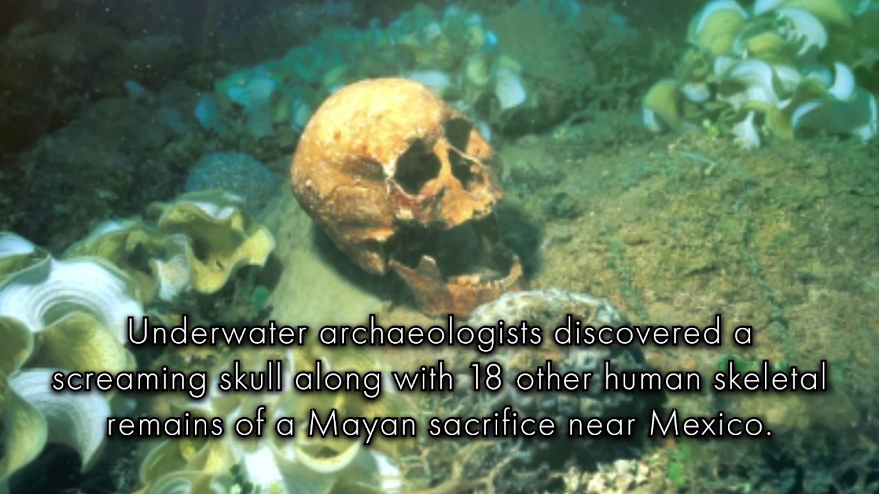 5 Underwater Nightmare Fuel Photos - YouTube