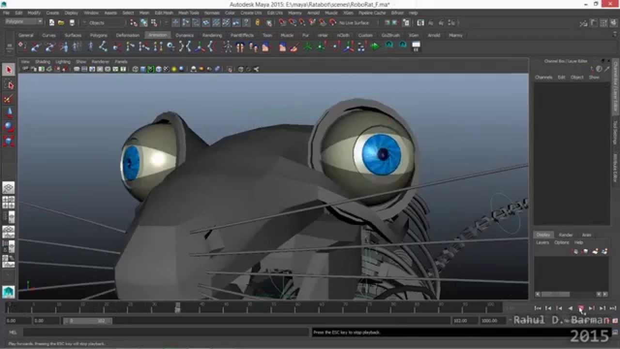 RoboRat Rig by Rahul D - YouTube