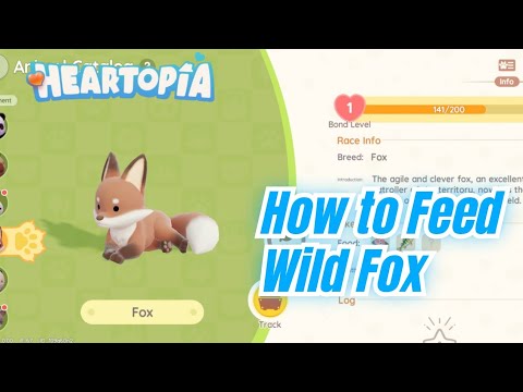 SECRET Fox Rewards! - How to Feed Wild Fox in Heartopia Tutorial - YouTube