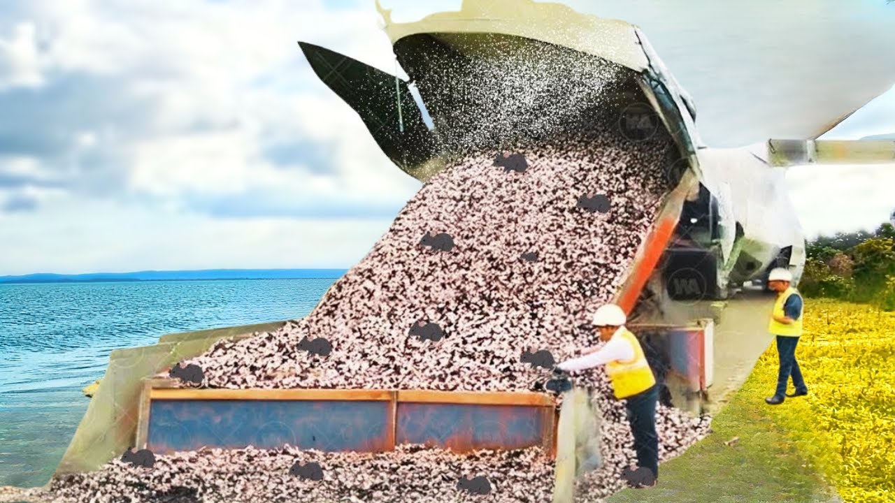 They Dropped Thousands of Mice Over Guam, and What Happened Was ...