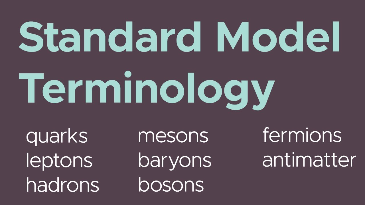 Standard Model Terminology Explained | HSC Physics - YouTube
