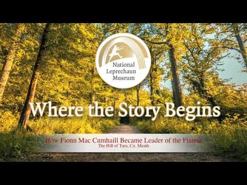 How Fionn Mac Cumhaill Became Leader of the Fianna - YouTube