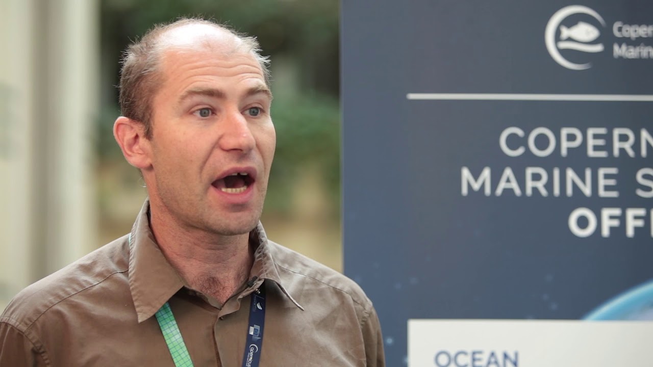 Laurent BERTINO - Head of the Copernicus Marine Arctic MFC - NERSC ...