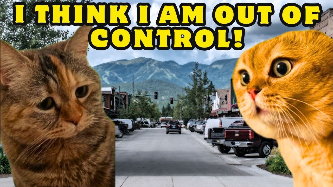 When a Cat Has Trouble in Controlling her Anger #catstory (Ep.200 ...