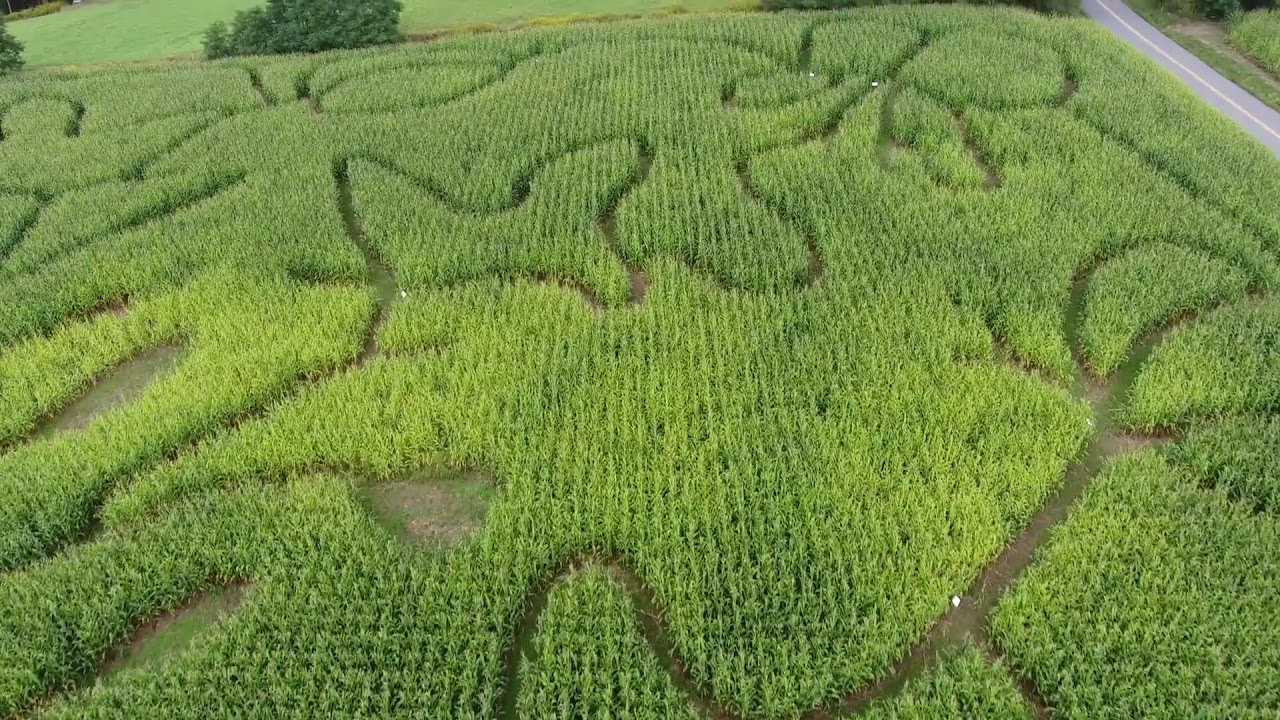 Cove Run Corn Maze 2017 | Deep Creek Lake & Garrett County, Maryland ...