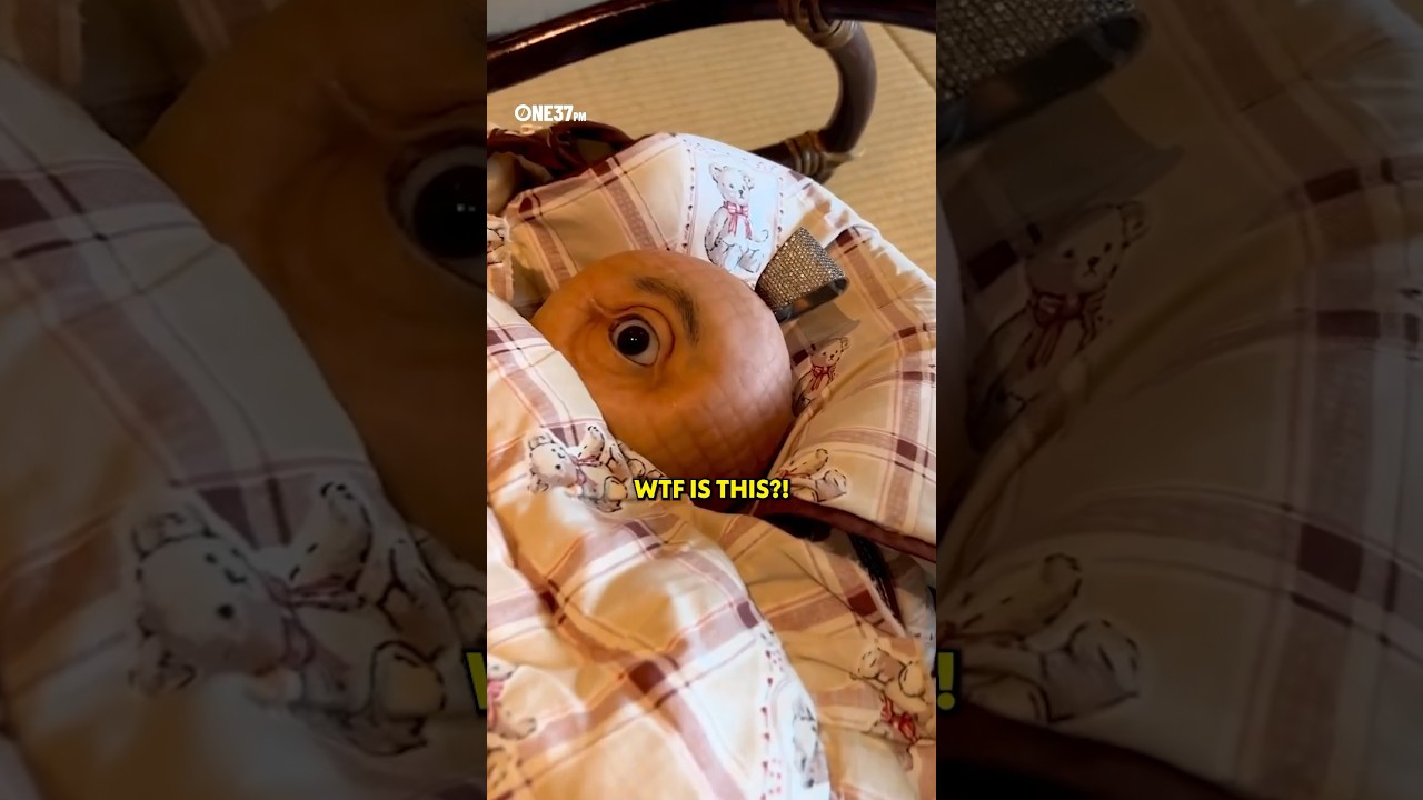 Fashion Wear Resembling Human Flesh | Brand - Mother Factory - YouTube