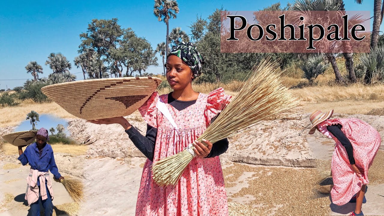 A realistic day at Olupale | WINNOWING MILLET BY HAND | Oshiwambo ...