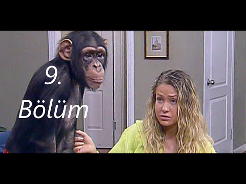 Çarli İş Başında | 9. Bölüm